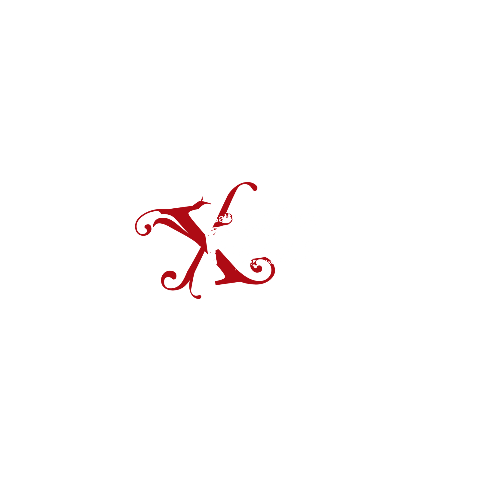 X-Fest MMA